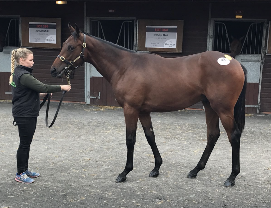 Kodiac 1 – Kevin Ryan Racing