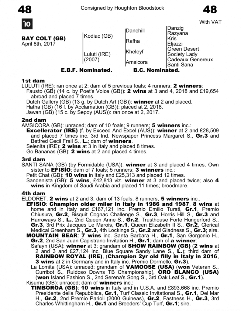 Kodiac Pedigree – Kevin Ryan Racing