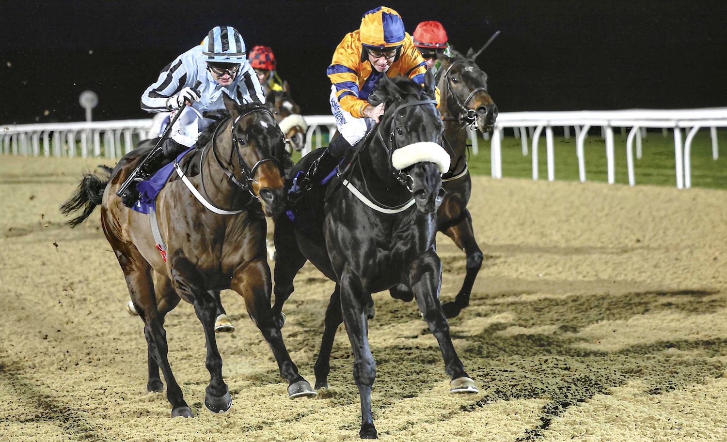 Jakarta Fulfils Promise – Kevin Ryan Racing