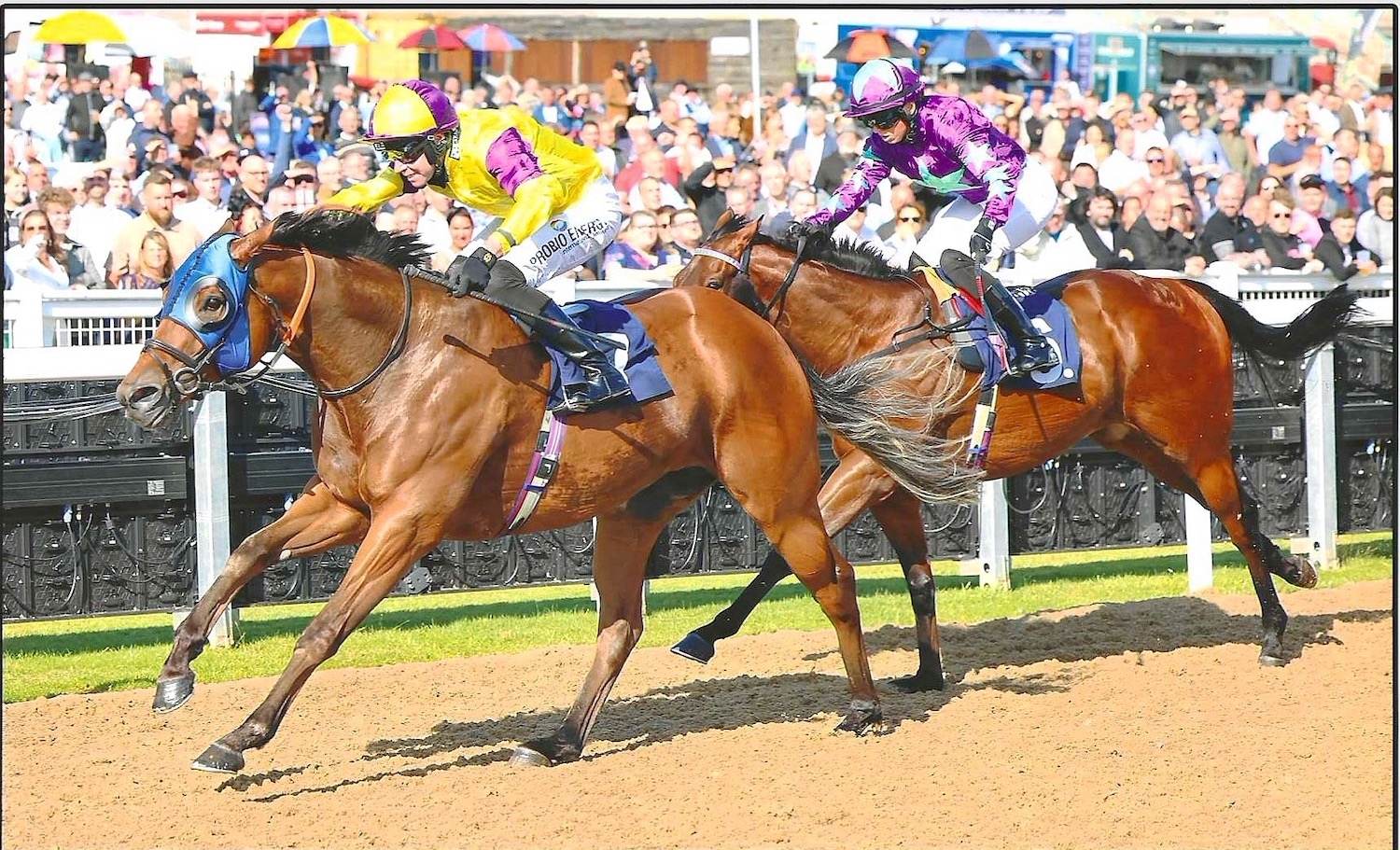 Bergerac Takes The Gosforth Park Cup – Kevin Ryan Racing