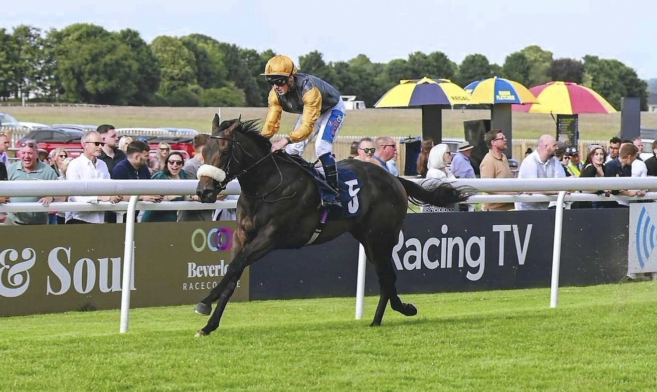 Beauty Queen Could Be Quite Special – Kevin Ryan Racing